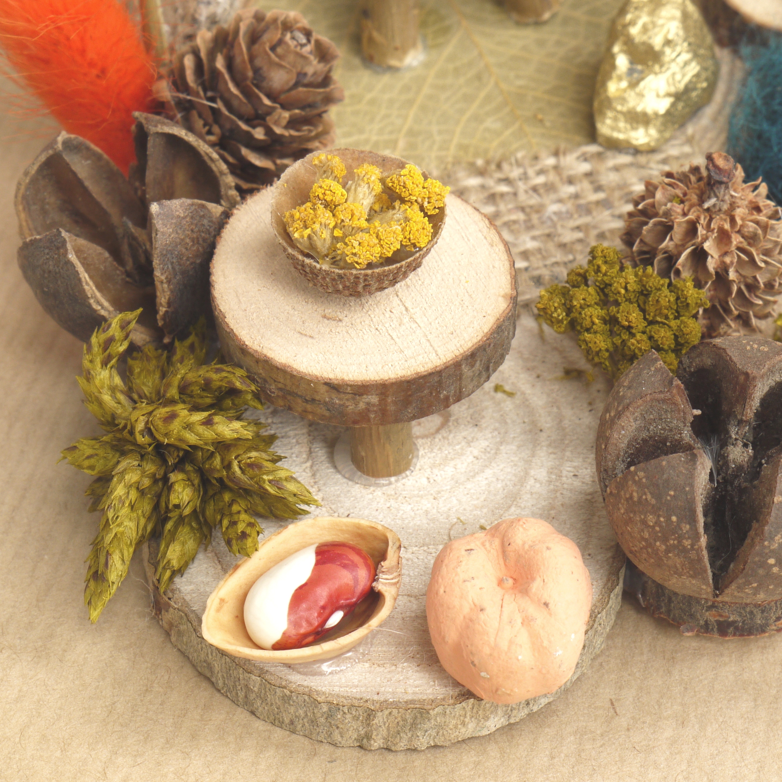 Mini Teepee | Naturemake